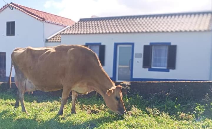 Paz E Tranquilidade No Coração Da Natureza - Nordeste