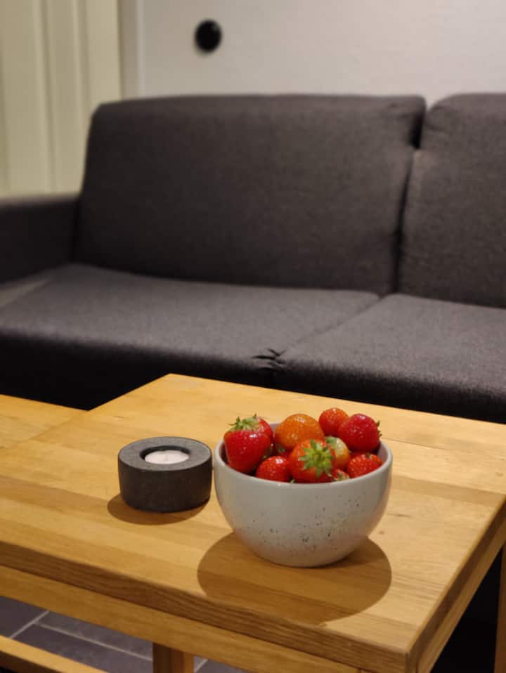 Fräsch Källarlägenhet Med Närhet Till City - Helsingborg