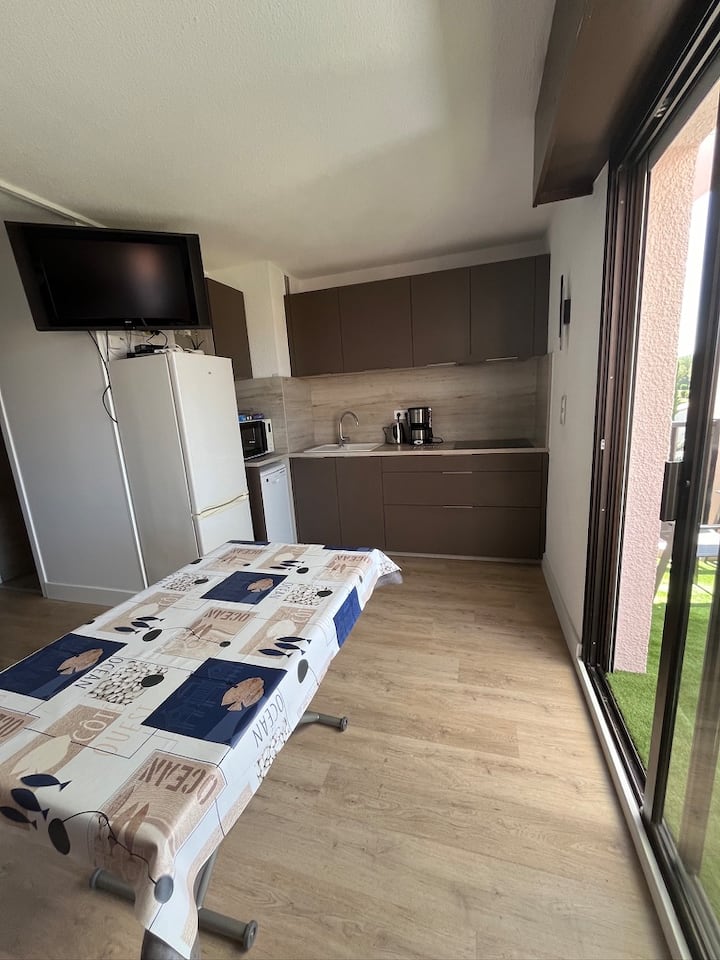 Appart 4 Pers  Garage, Clim,solarium Réno 2024 - Saint-Cyprien