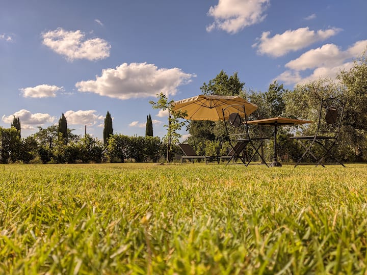 San Gimignano And Volterra- Pet Friendly - Volterra