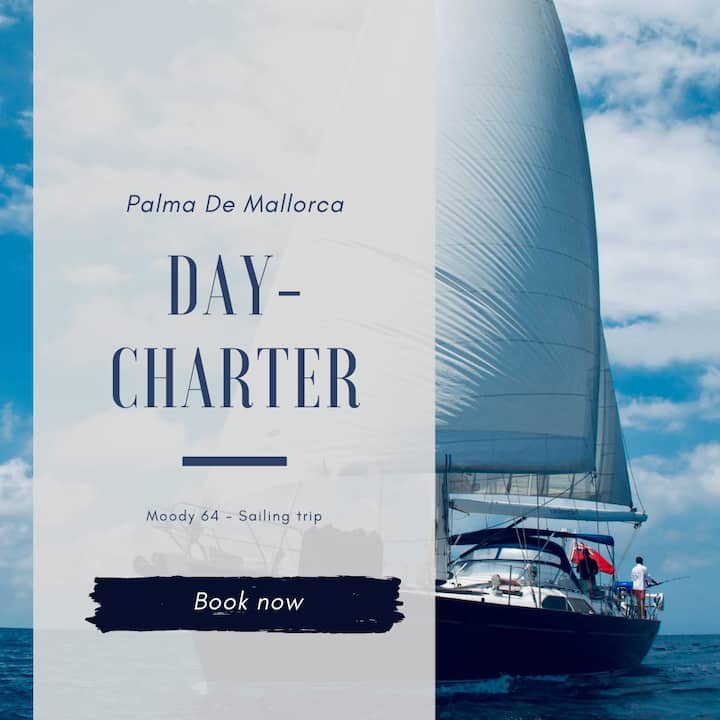 S/y Ioh Will Make Your Day. - Playa de Palma