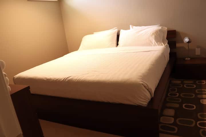 Beautifully Designed Spacious Basement Apartment - Reston, VA