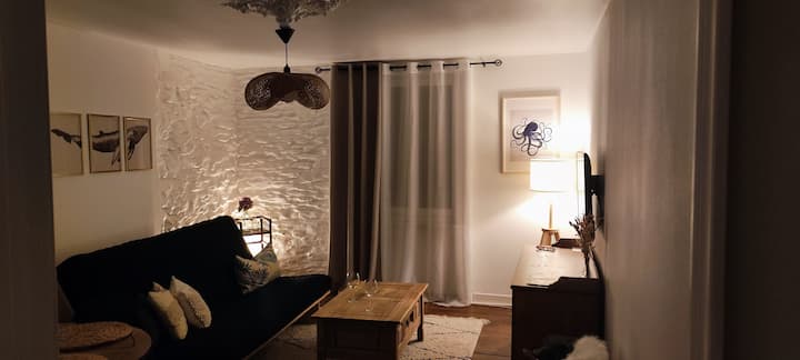 Charmant Appartement Au Cœur De Palais - Le Palais
