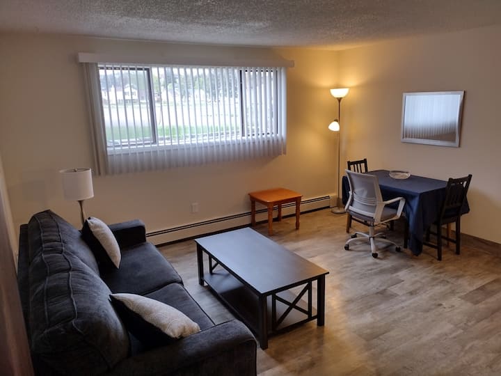 1 Bdr Newly Furnished, Gr8 Location, Special Deal. - Cheyenne, WY