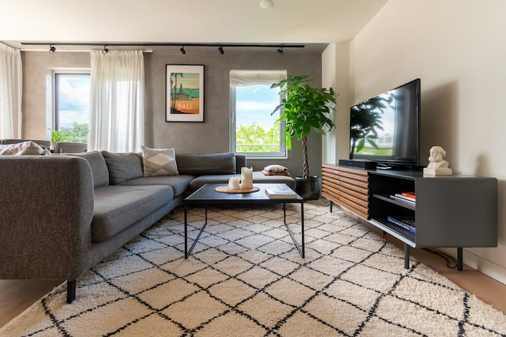 Renovated Modern Spacious 2-bedroom Apartment - Amsterdam