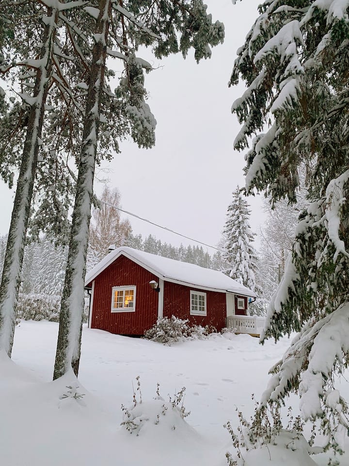 Cozy Cabin With Fireplace & Lake View - Suède