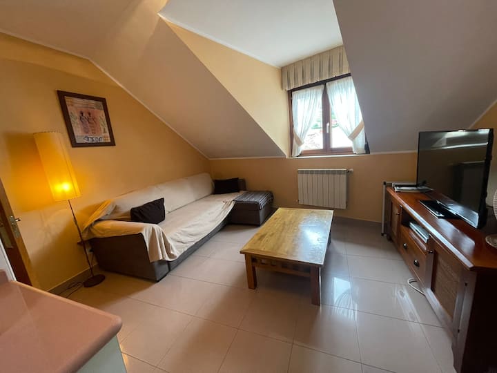 Apartamento Cinema Cangas Onis - Cangas de Onís