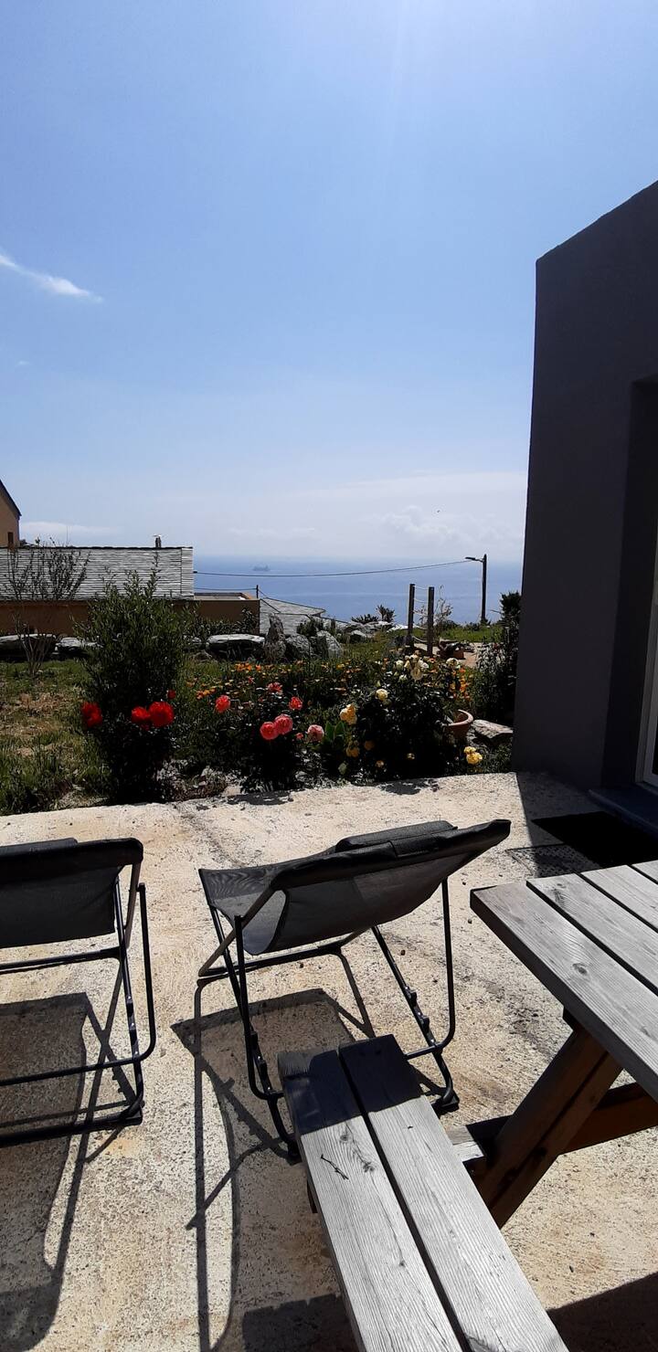 Jolie 40m2 - Brando