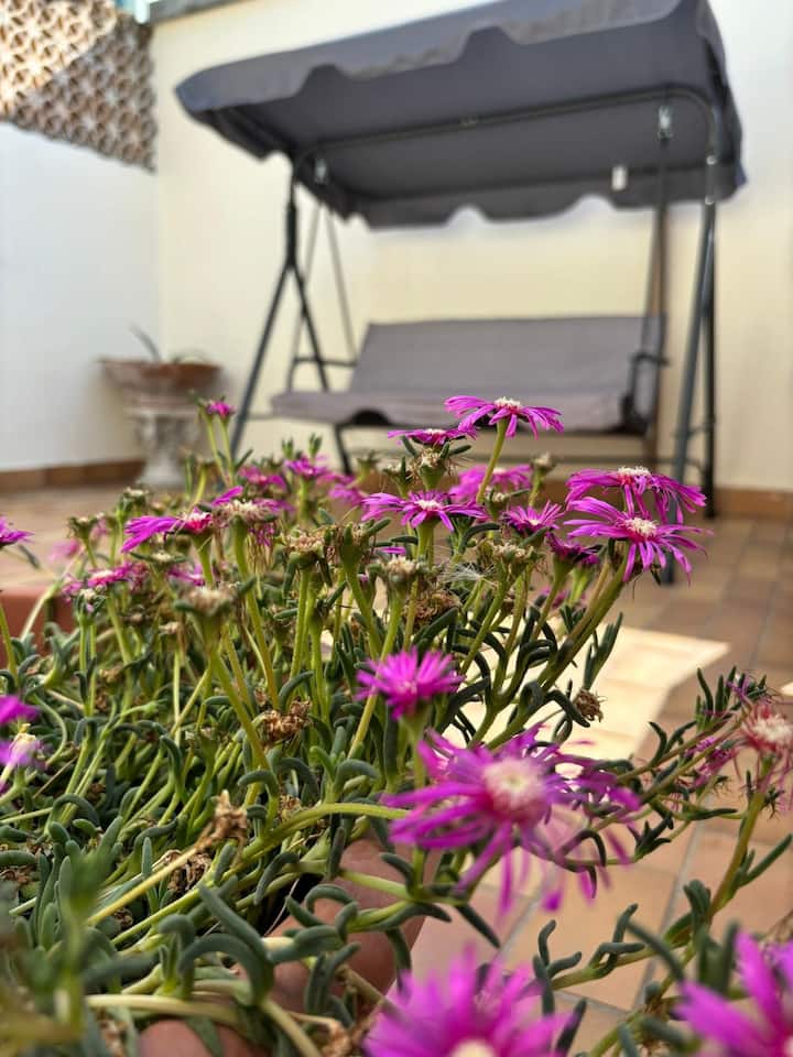 Casa Indipendente In Affitto - Pineto