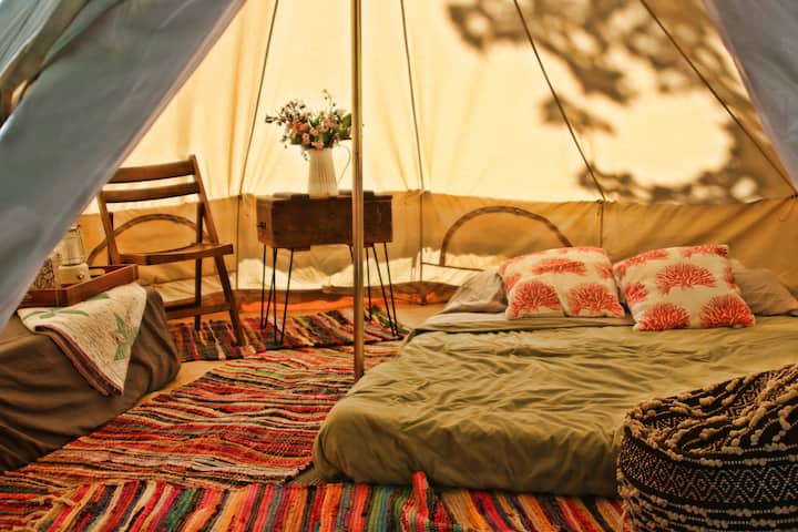 Glamping In The Woods! - Washington State Park, DeSoto