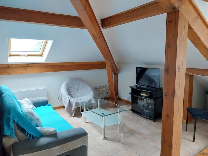 Appartement Dans Une Maison - Le Bourget-du-Lac