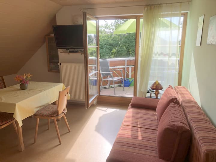 Klimatisierte Ferienwohnung Im Grünen - Deggenhausertal
