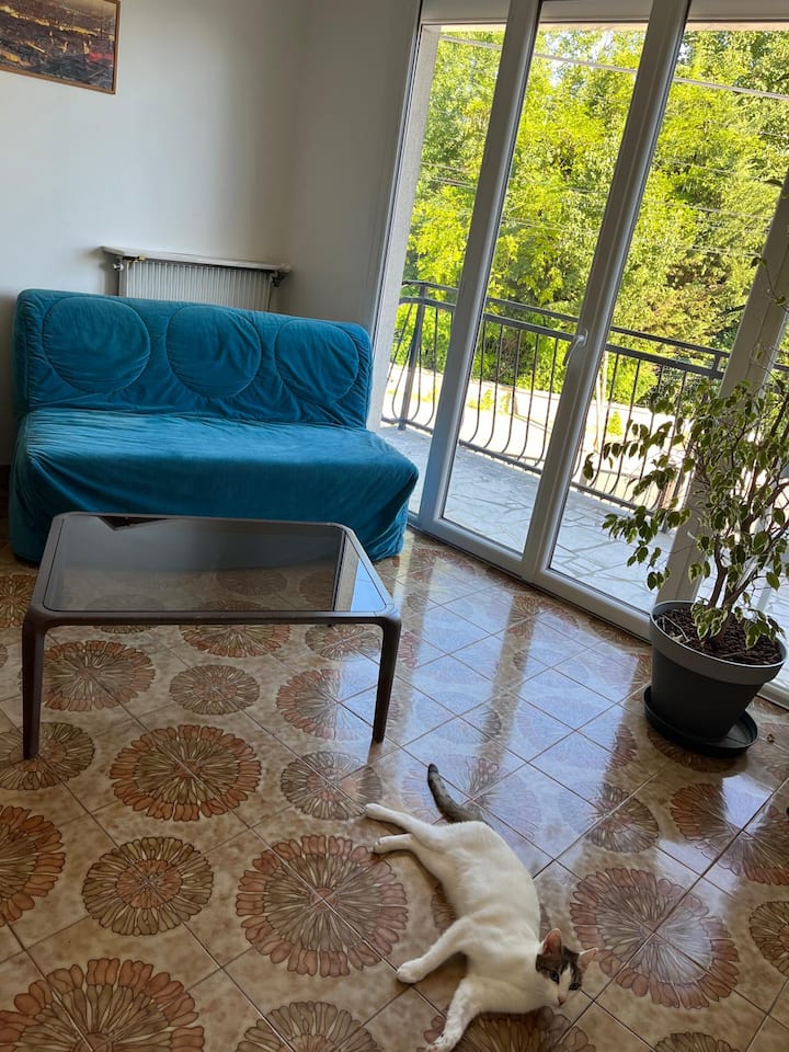 Ch N° 10 / Chambre Dans Un Pavillon - Marne-la-Vallée