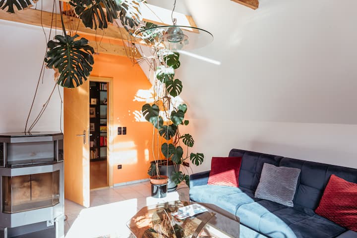 Geräumige Wohnung Im Süden Hamburgs - Hamburg