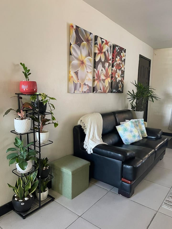 2bdr City Apartment With Ac, Wi-fi, With Security - Suva