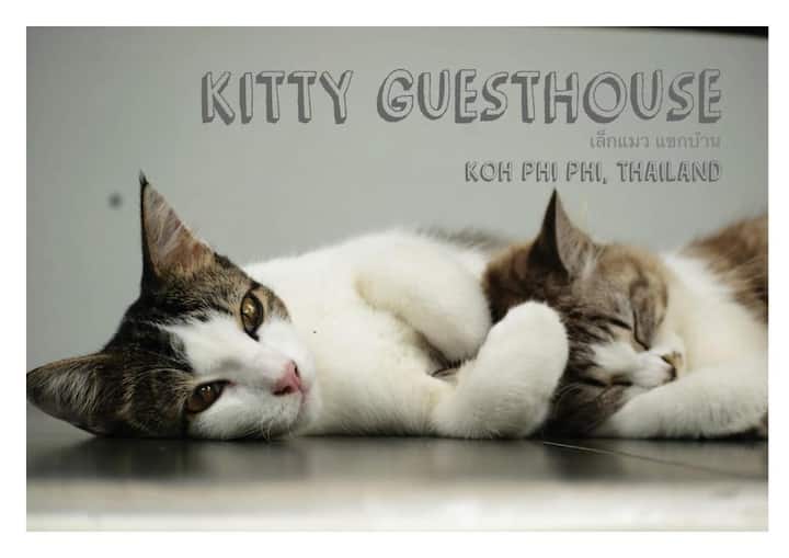 Kitty Guesthouse , Koh Phi Phi  (Superior Room) - Ko Phi Phi Don