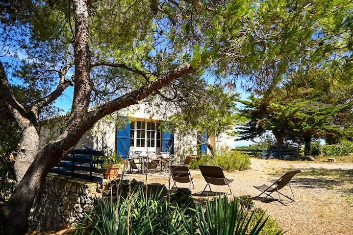 Gîte Mimosa Au Cœur Des Vignes - Narbonne