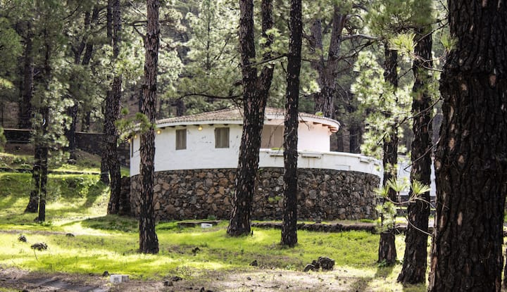 Vivienda Vacacional La Redonda /Senderos/bosque - La Palma