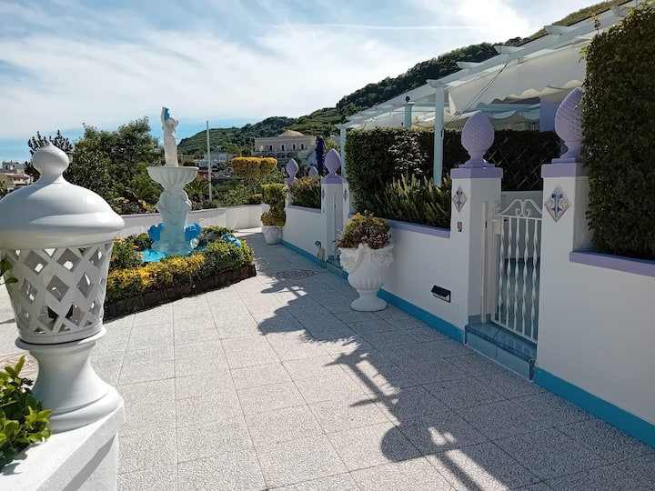 Appartamento 3 Ospiti - Ischia