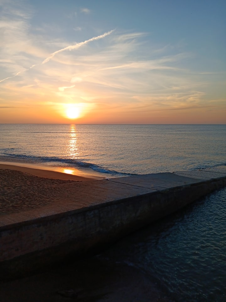 La Roseraie - Saint-Gilles-Croix-de-Vie
