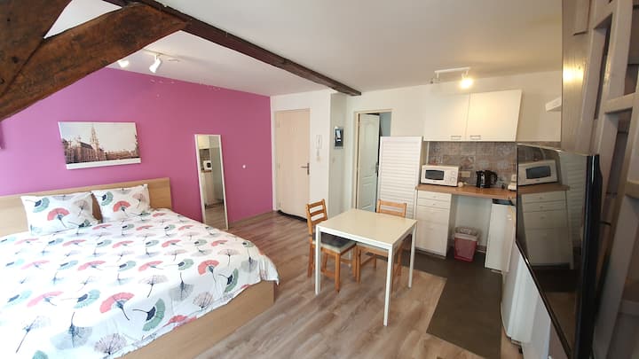 Studio 3d Centre Historique - Brussel