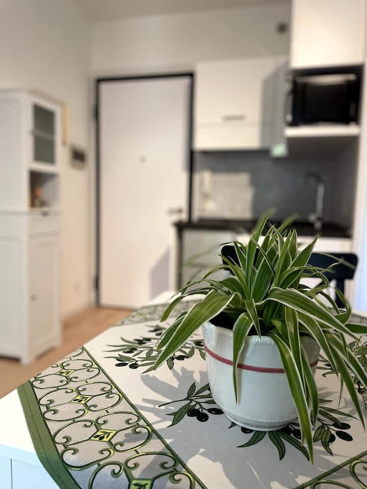 Appartamento Zona Ospedale,prato Della Valle,santo - Abano Terme