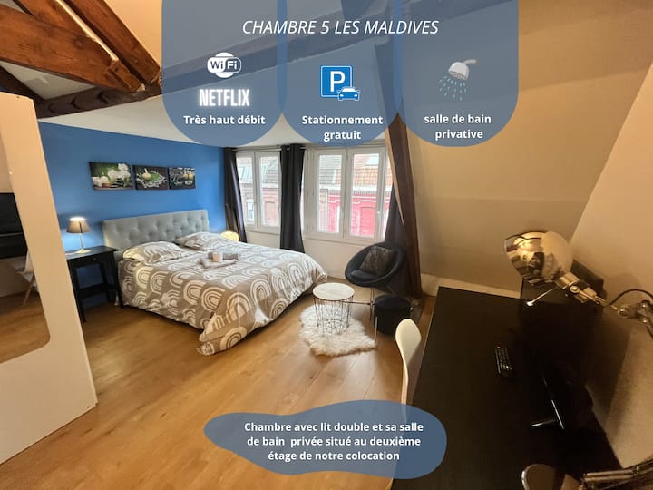 Les Maldives Chambre En Colocation Sdb Privée - Tourcoing
