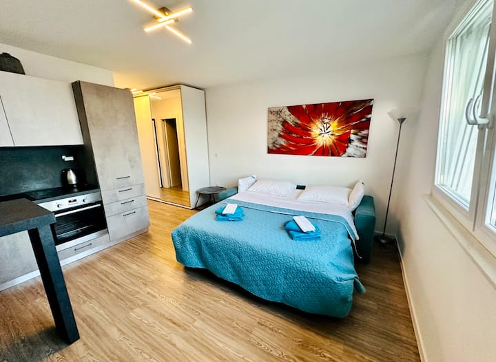 Studio Apartment Slave - Rijeka