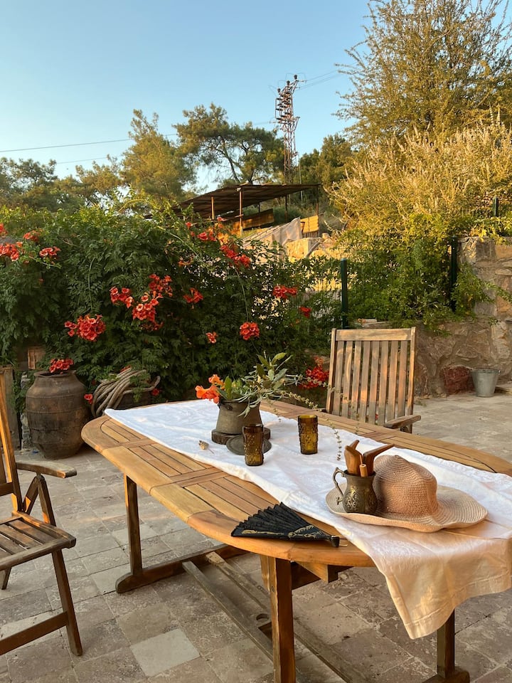 Hanımağa Köy Evi Milas Max 4 - Milas