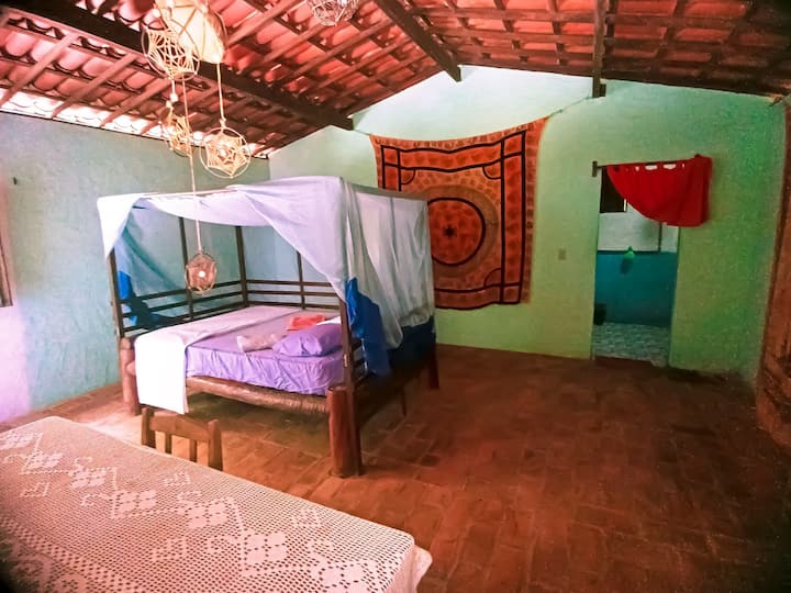 Nas Matas Da Lagoa - Brazil