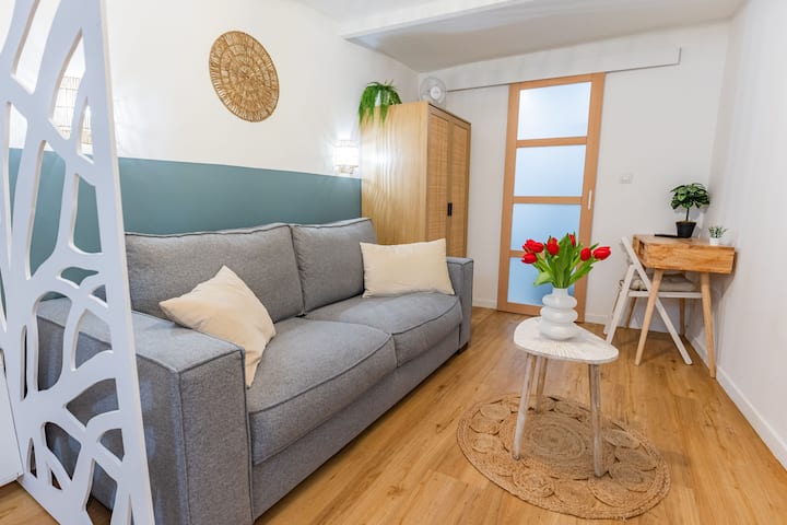 Studio Cozy Centre Avec Parking - Pégomas