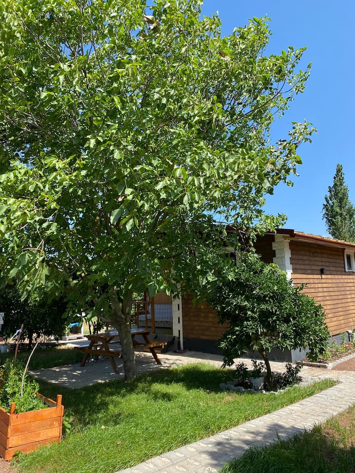 Adrasan Garden House - Adrasan