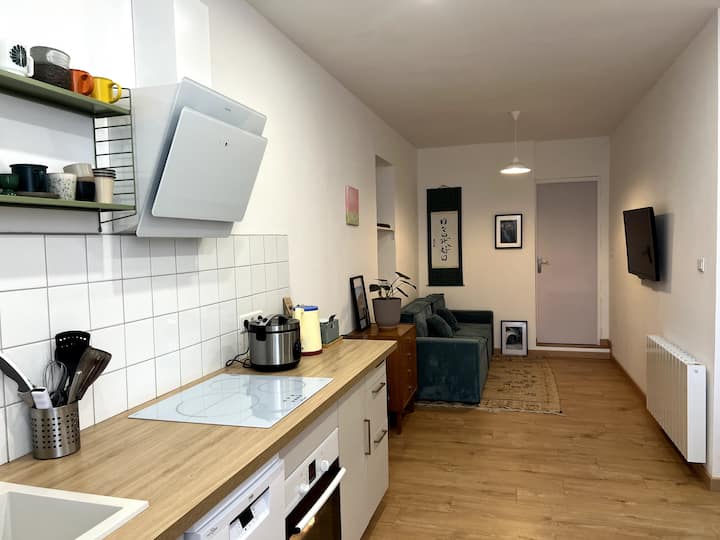 Appartement Style Japonais En Plein Coeurs De Sete - Sète