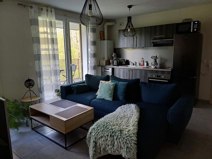 Appartement De Type T2 Calme Et Lumineux - Léognan