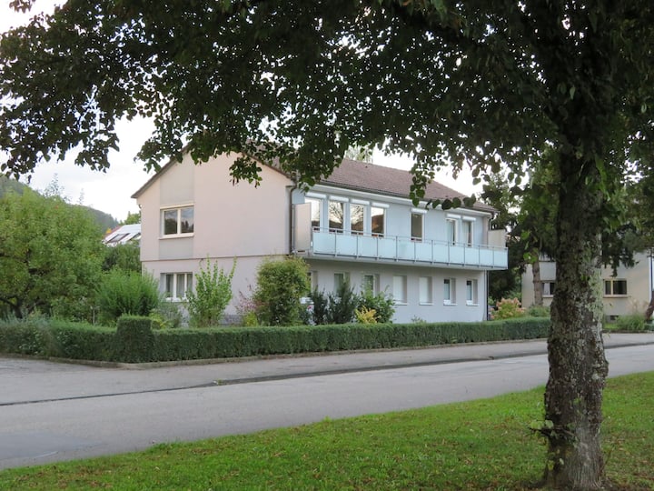 Zwei-zimmer-wohnung In Schopfheim - Schopfheim