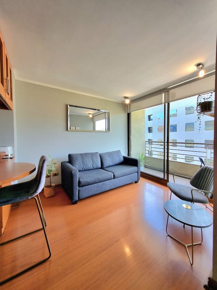 Gorgeous Apartment In Providencia - Providencia, Chile