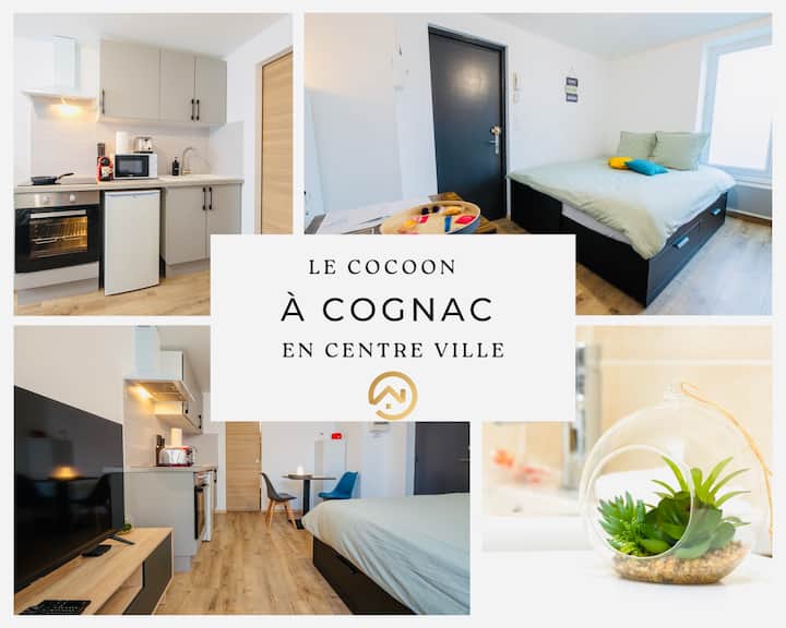 #Nouveau#cocoon#wifi#parking#biendormiracognac - Cognac