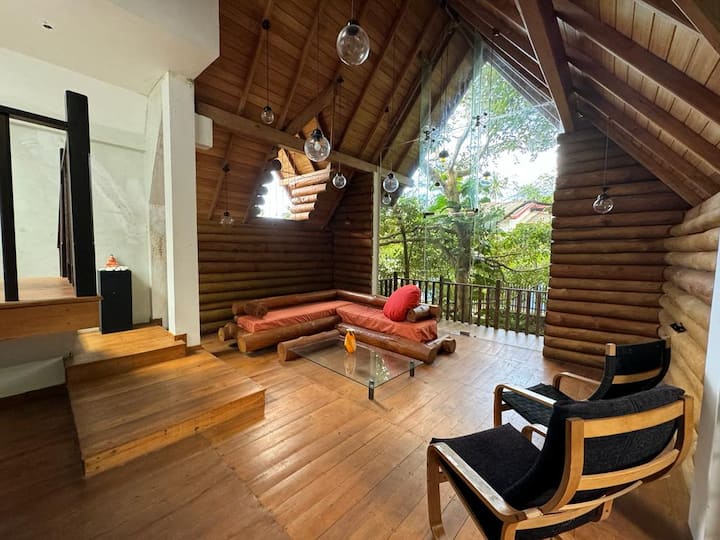 The Forest's Last Stand - Galle - Sri Lanka