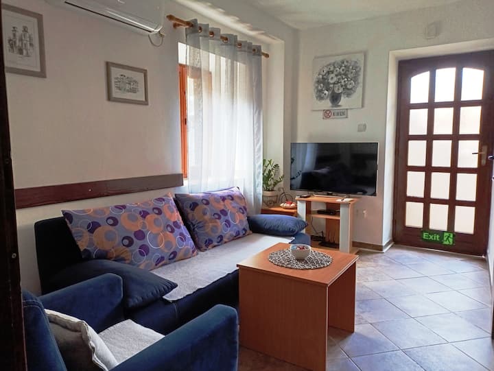 Petrovic 16 Apartments 2 - Kotor