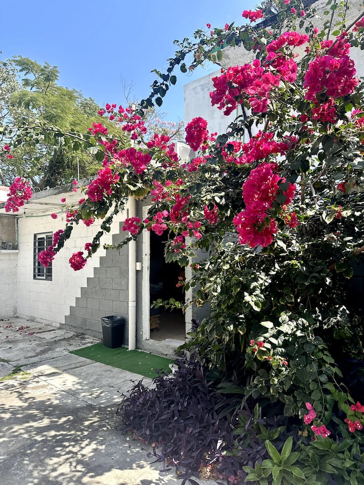 Estudio Cerca De Ado Y Centro - Cancún