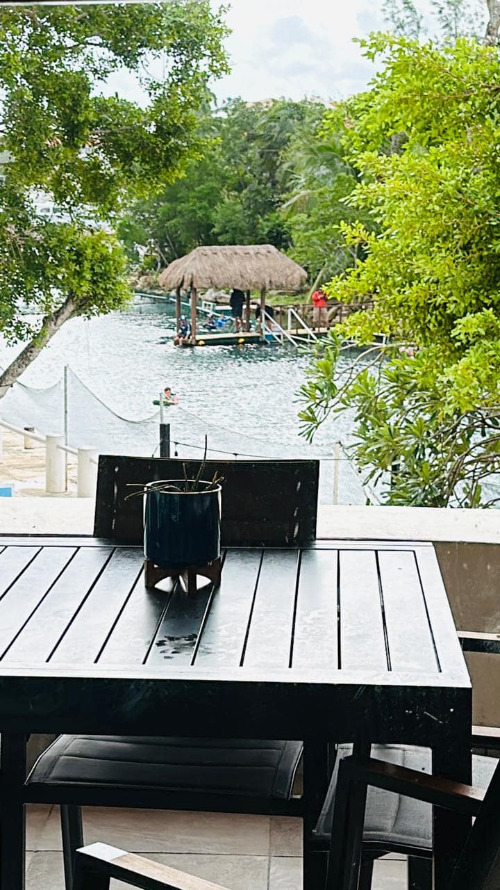 Loft Face Au Delphinarium Et Proche De La Plage - Puerto Aventuras