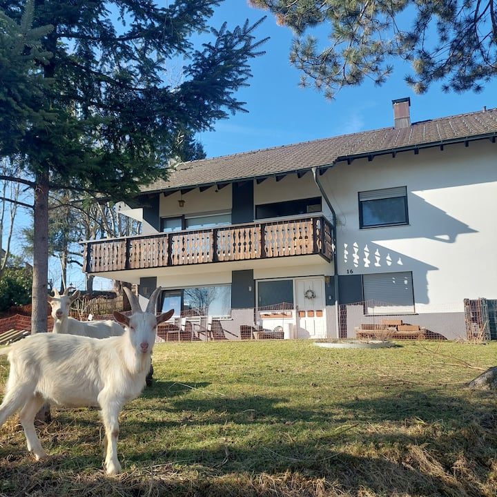 Charming Albbruck Retreat - Laufenburg