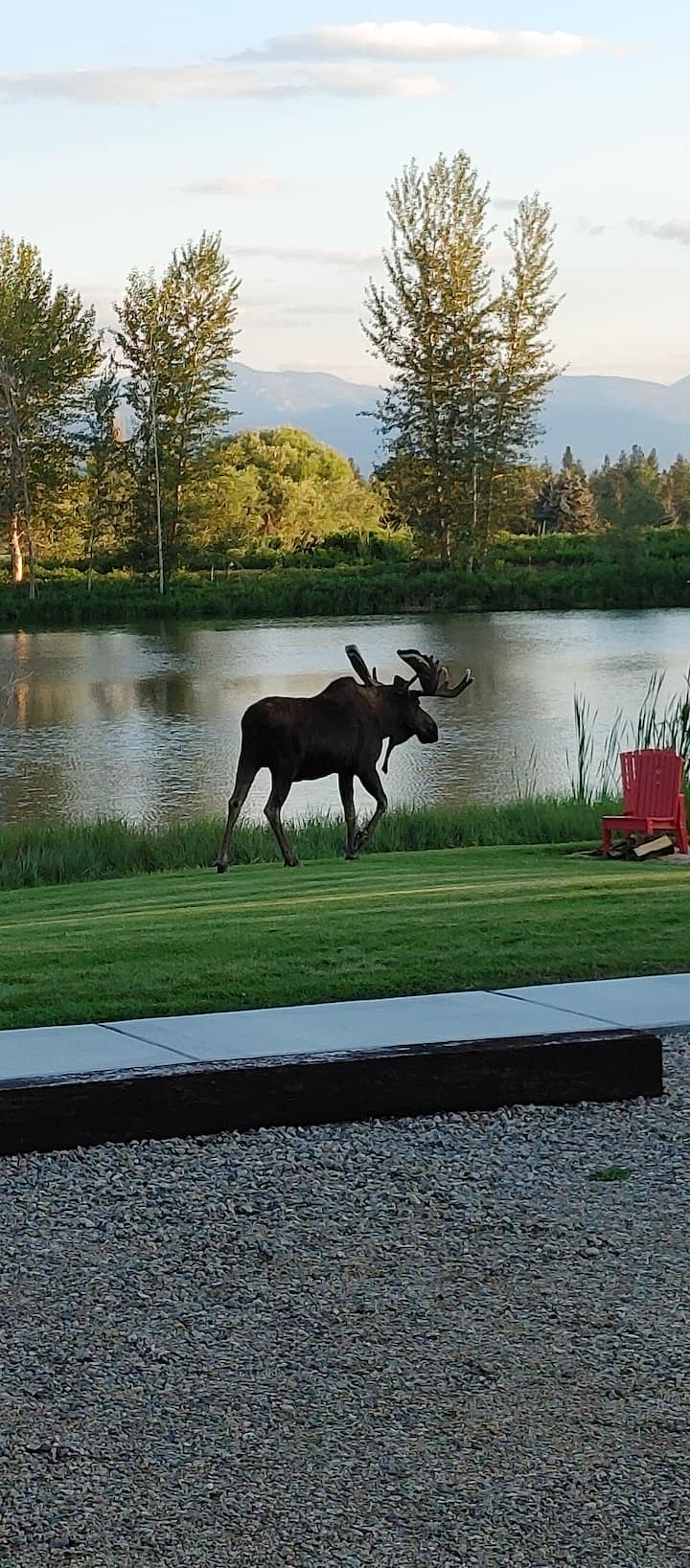 Deluxe Cabin - Hamilton, MT
