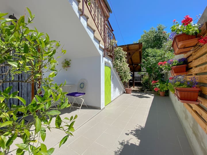 Tomas - Studio Apartment With Terrace - Novigrad