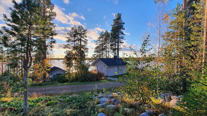 With Pets To A Lakeside Cabin To The Northeast - Finland