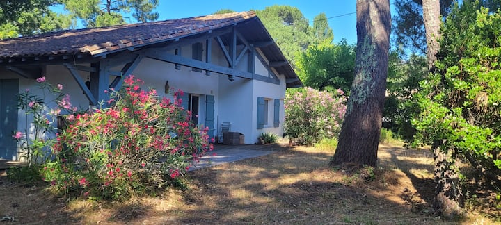 Villa Du Vieux Pilat, Plage à Pied, Dune Du Pyla - La Teste-de-Buch