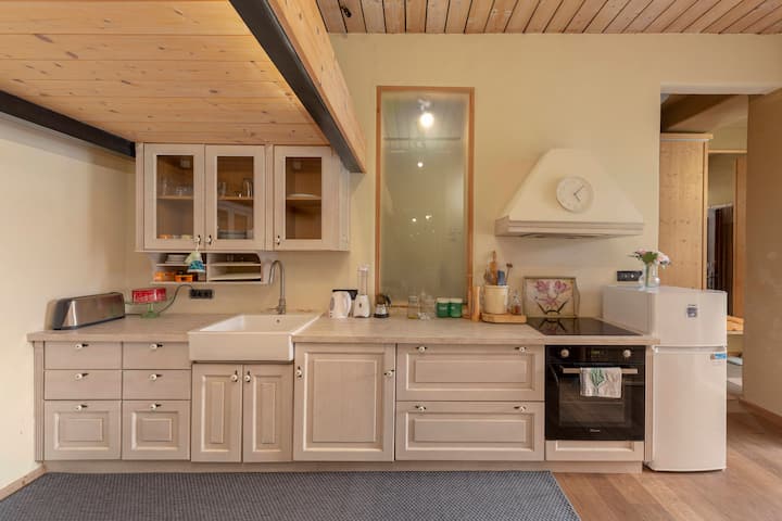 Iq Wood Apartment-veliki Studio| Free Parking(2+2) - Ljubljana