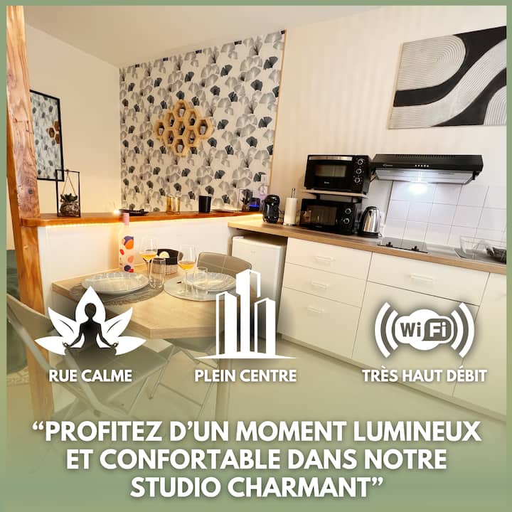 Studio "Charmant" Centre Cognac - Cognac