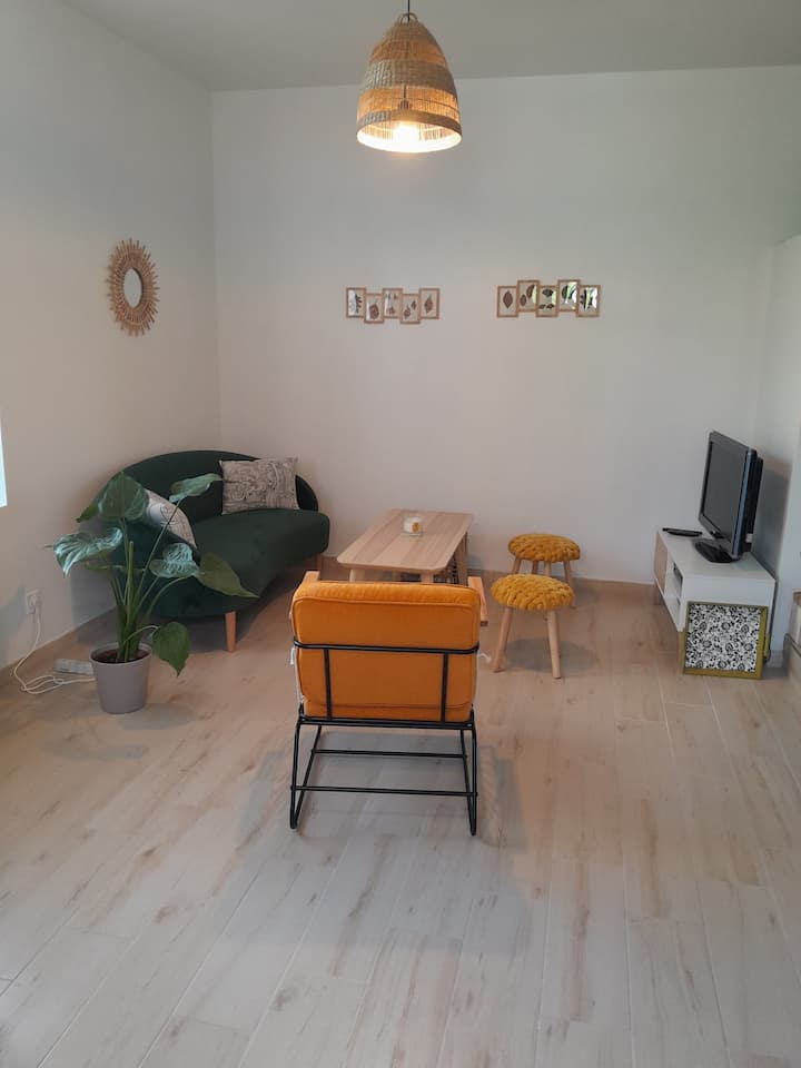 Maison Ancienne Rénovée Avec Jardin - Langrune-sur-Mer