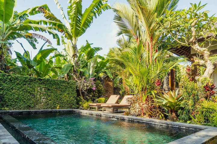 1br Private Villa Renovated Just In May This Year! - Ubud